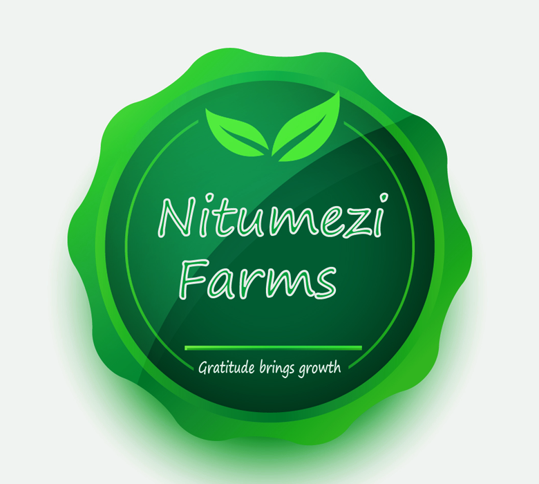 Nitumezi Farms - Gratitude Brings Growth